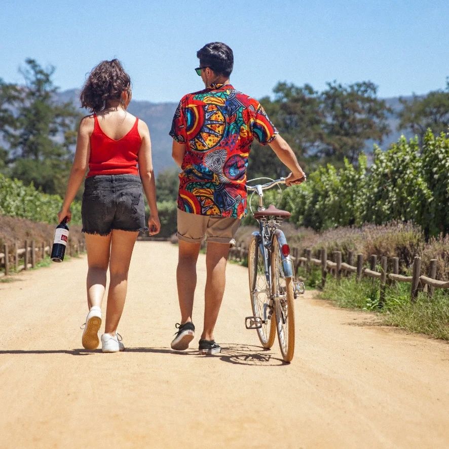 Tours en bicicleta por los viñedos de Chile: 3 increíbles rutas para ti ...