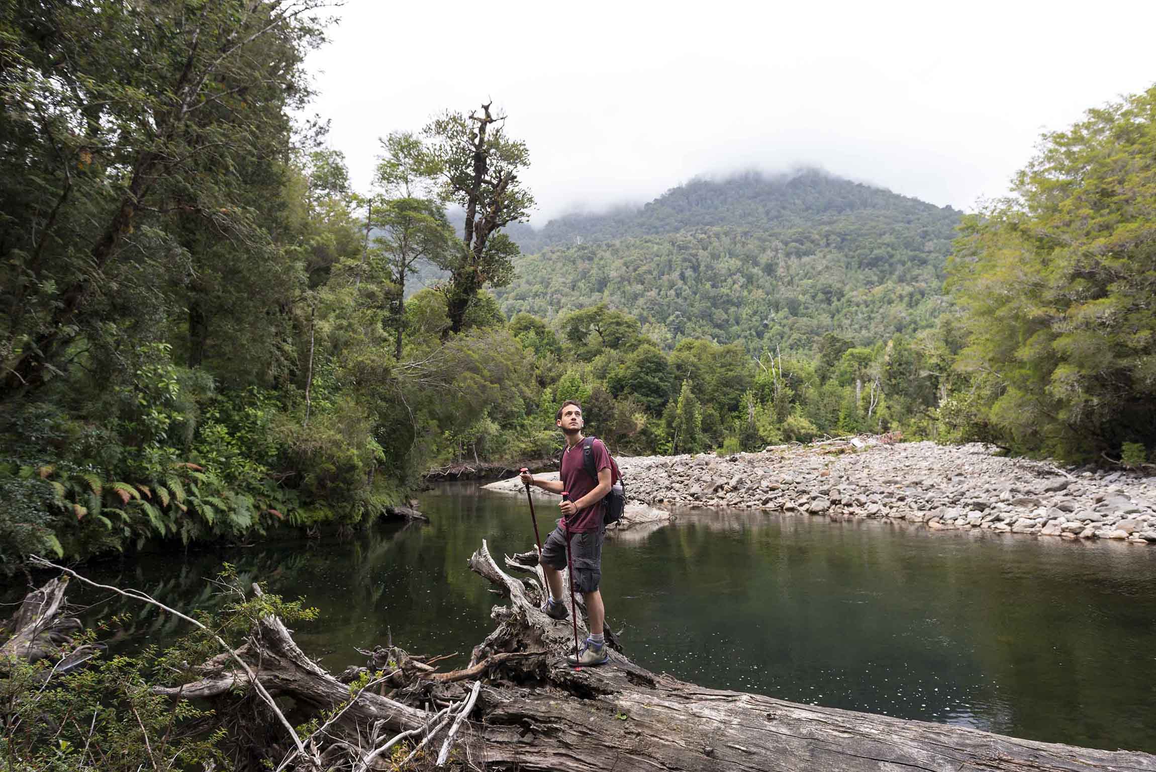 Nationalpark Alerce Andino - Chile Travel