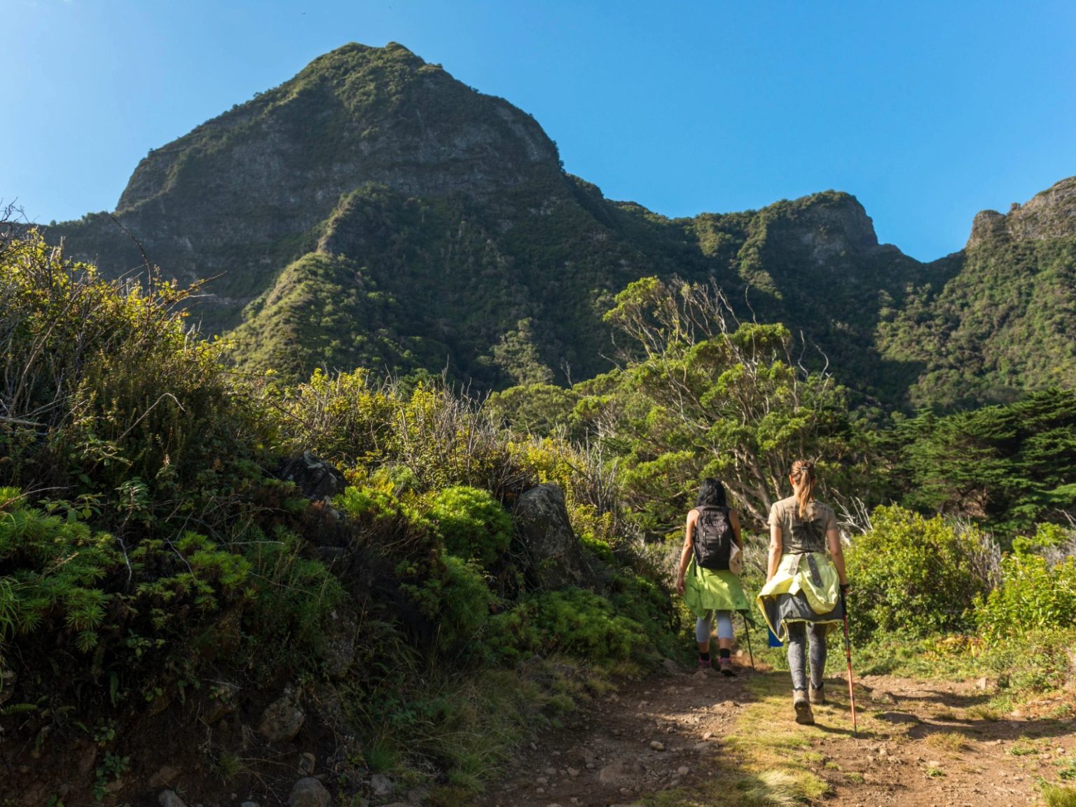 Six National Parks in Chile you should visit