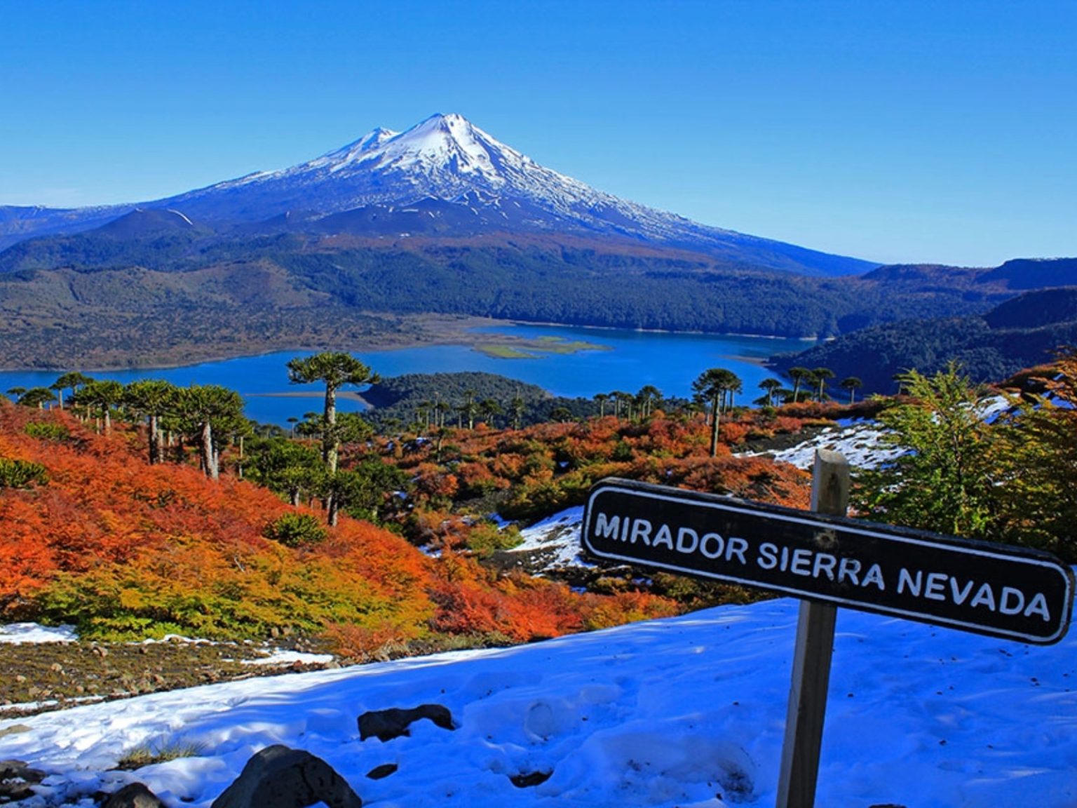 Viajar a Chile: 7 parques nacionales que te van a enamorar - Chile Travel